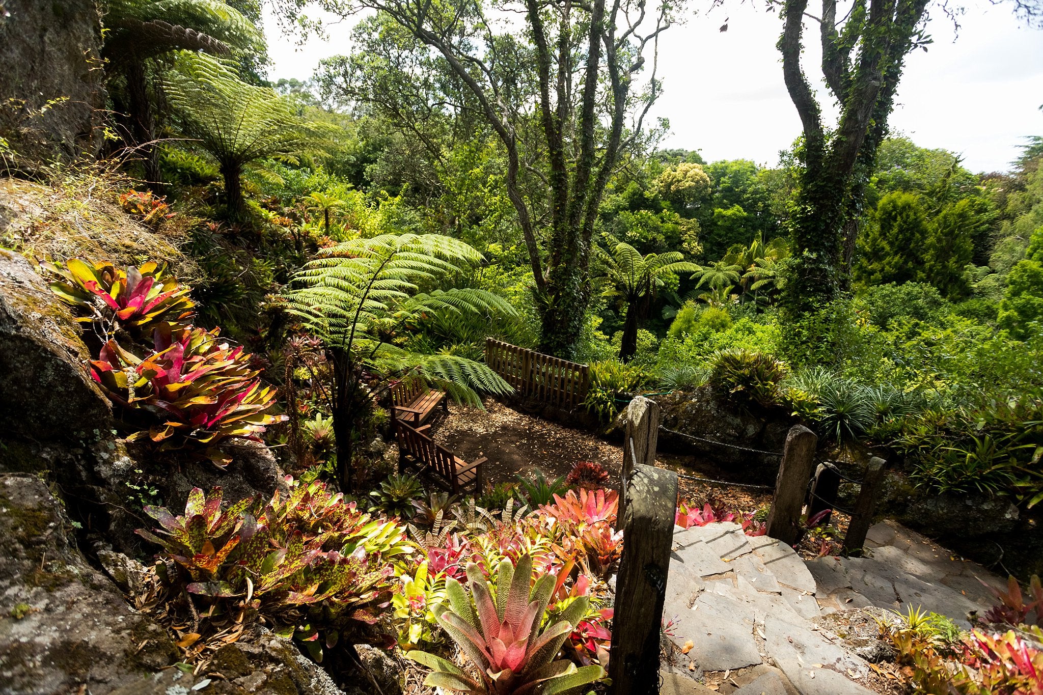 Eden Garden - the hidden garden in the middle of the city – Getting Lost