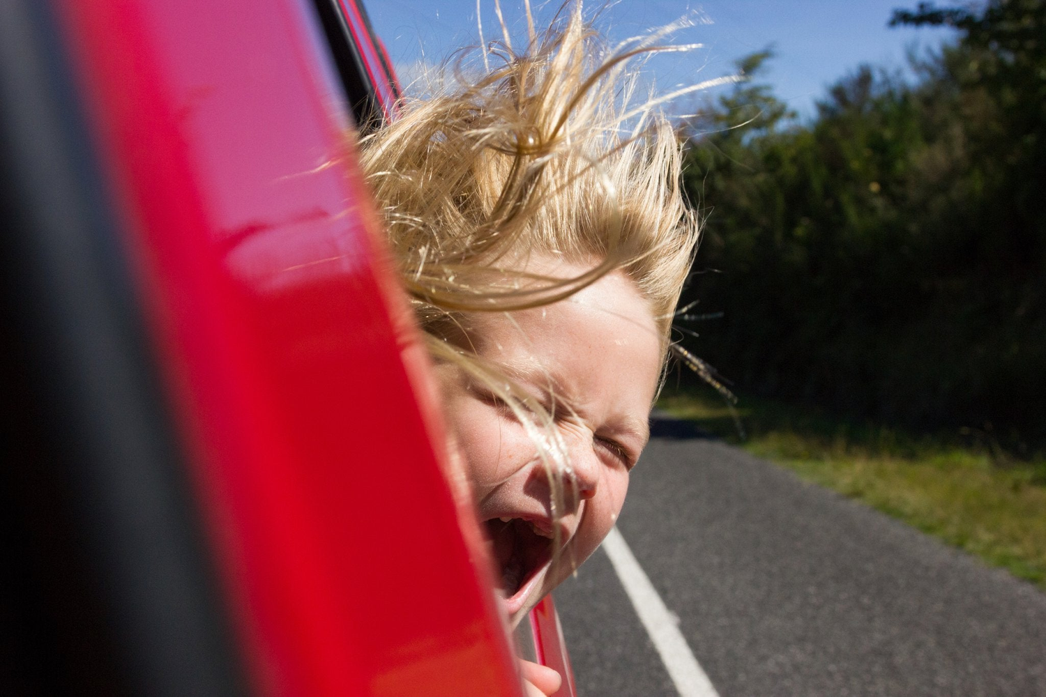 Pick Your Pack – Getting Lost